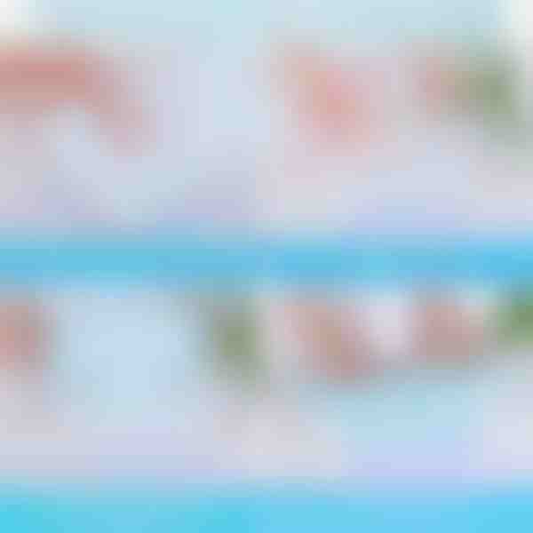 Konteineris ledui | ICEMATE – Toprabat.lt